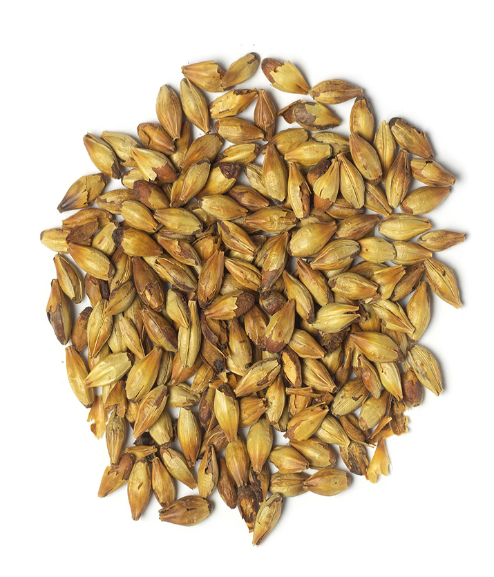 Caramel malts - Holland Malt