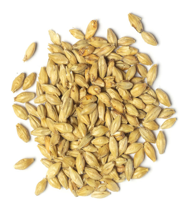 Pilsner malts - Holland Malt