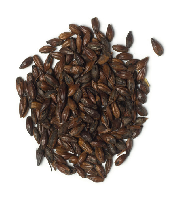 Roasted malt - Holland Malt