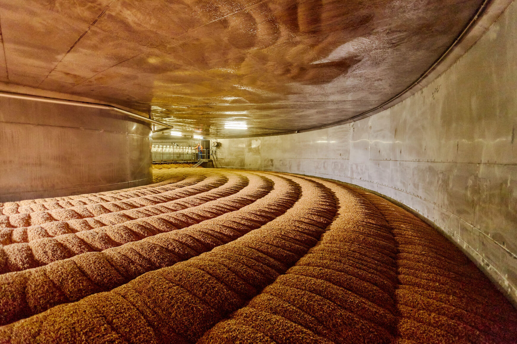 Our Malt - Holland Malt