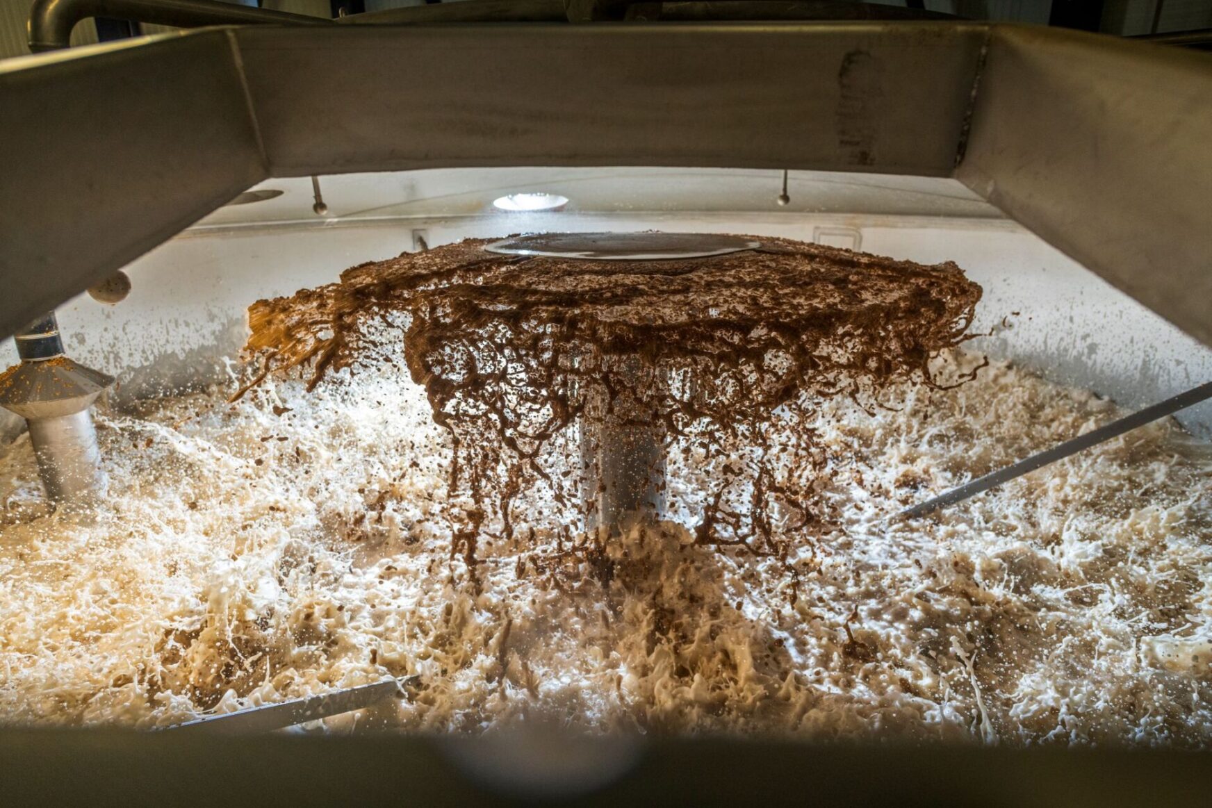 Our Malt - Holland Malt